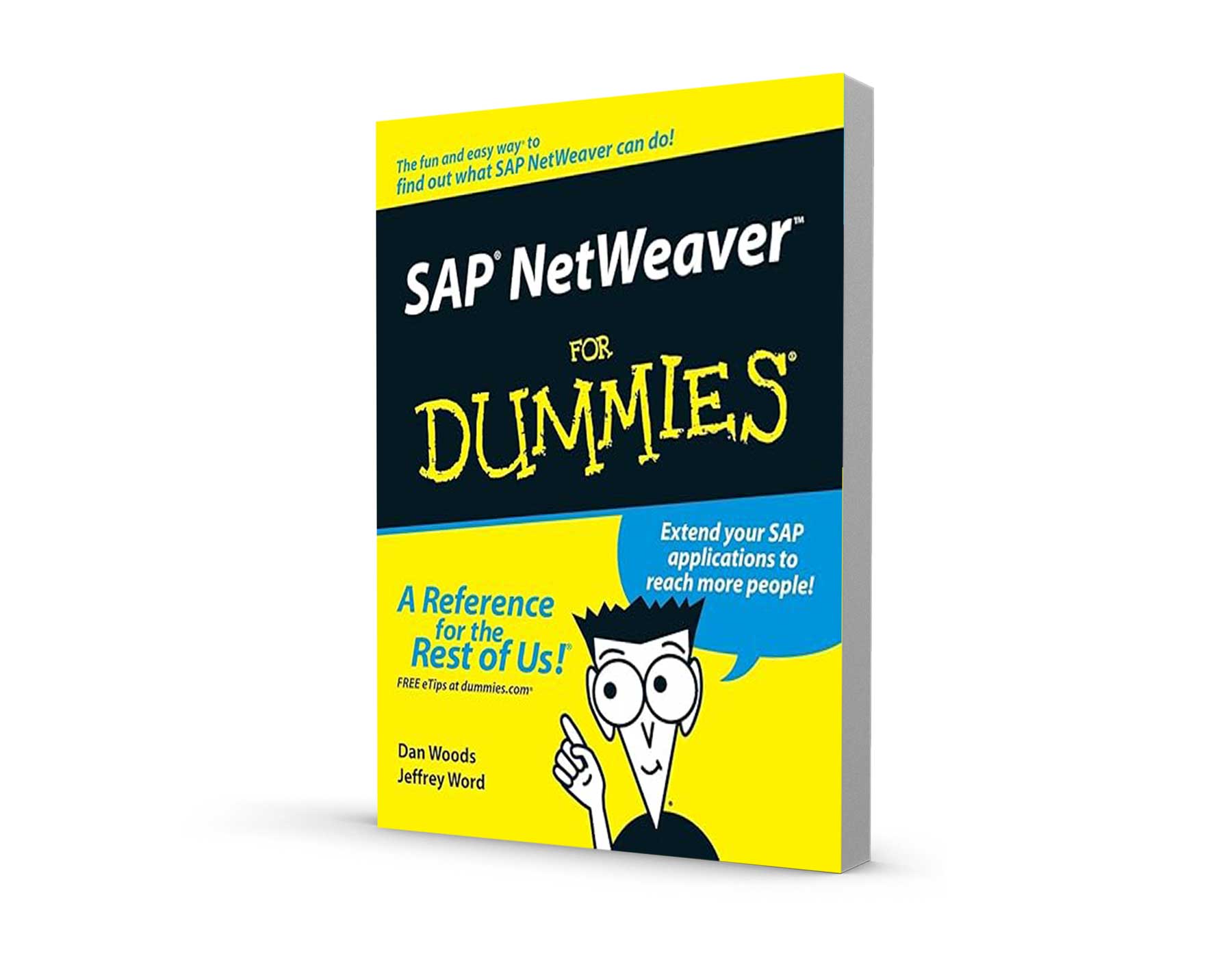 Sap Netweaver For Dummies Evolved Media